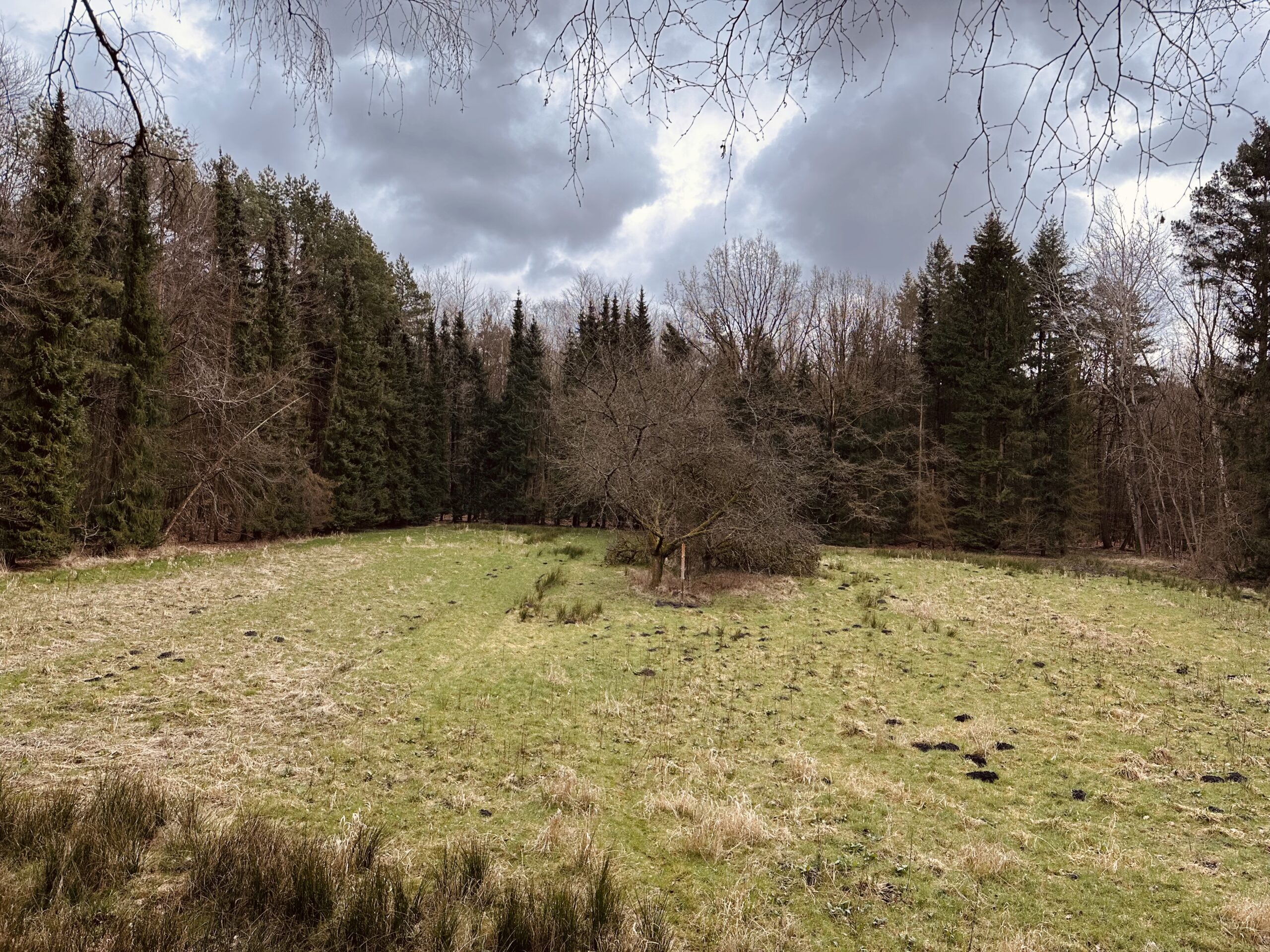 Was ist los im Forst Klövensteen? - @OutdoorMMM